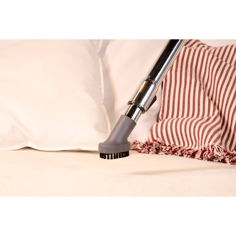Solac Bagless Vacuum Cleaner More Brave 800W